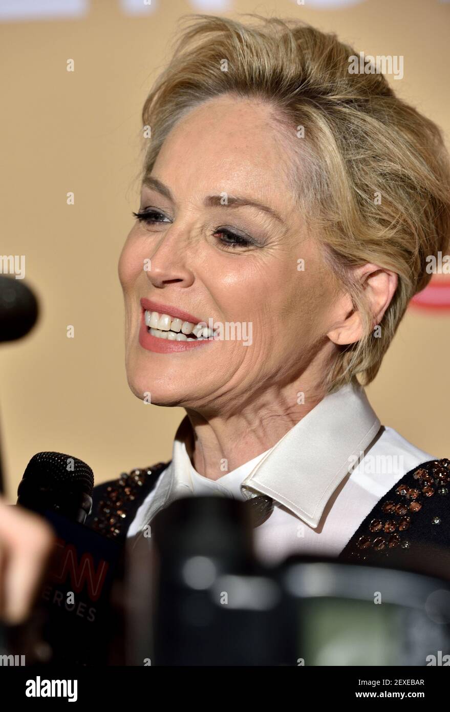 Actress Sharon Stone attends the CNN Heroes: An All-Star Tribute at the ...