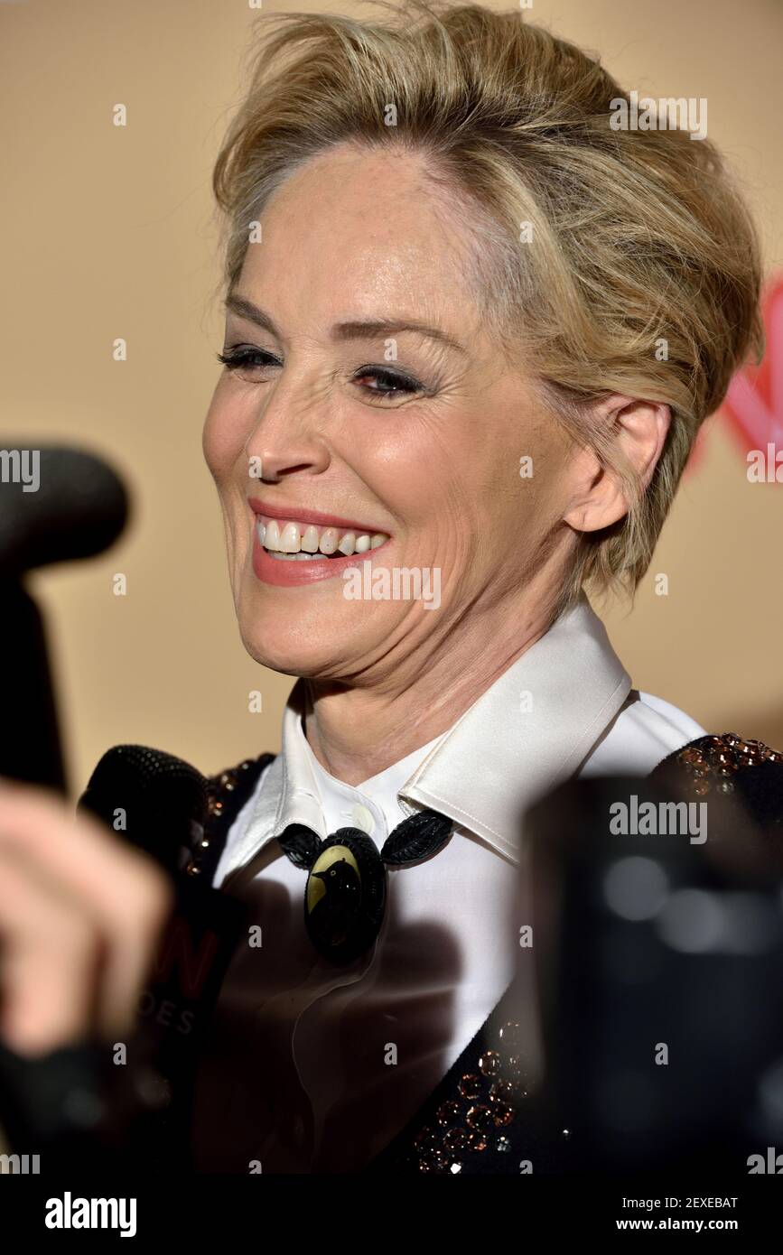 Actress Sharon Stone attends the CNN Heroes: An All-Star Tribute at the ...