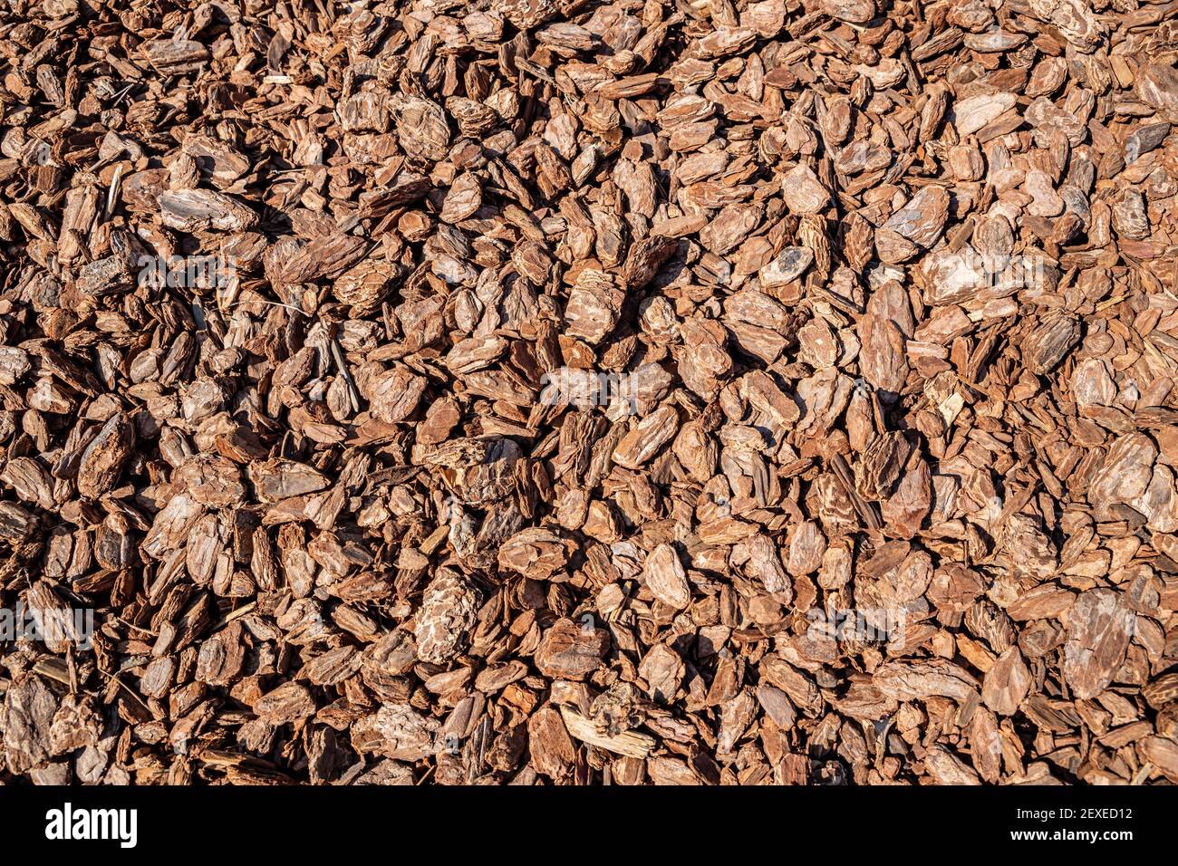 Background from reddish brown tree bark flooded with sunlight Stock ...