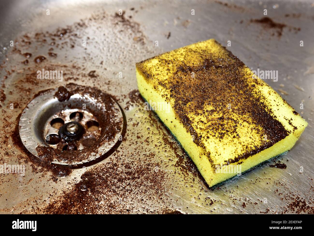 Sponge with detergent and foam while washing the sink in the kitchen ...