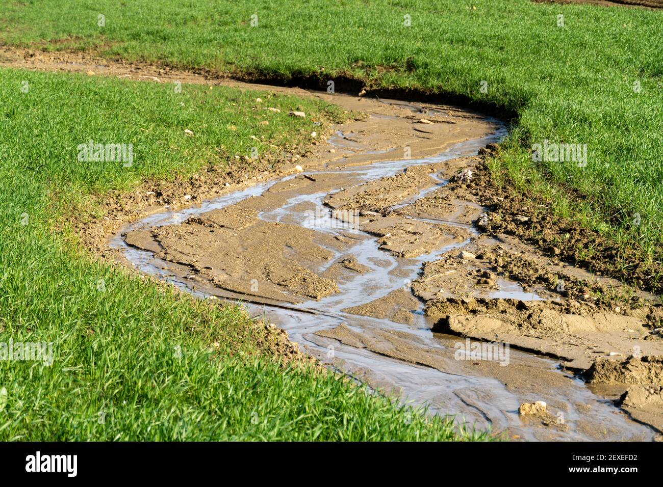 Stock photo of farmland with mud after rainy day Stock Photo - Alamy