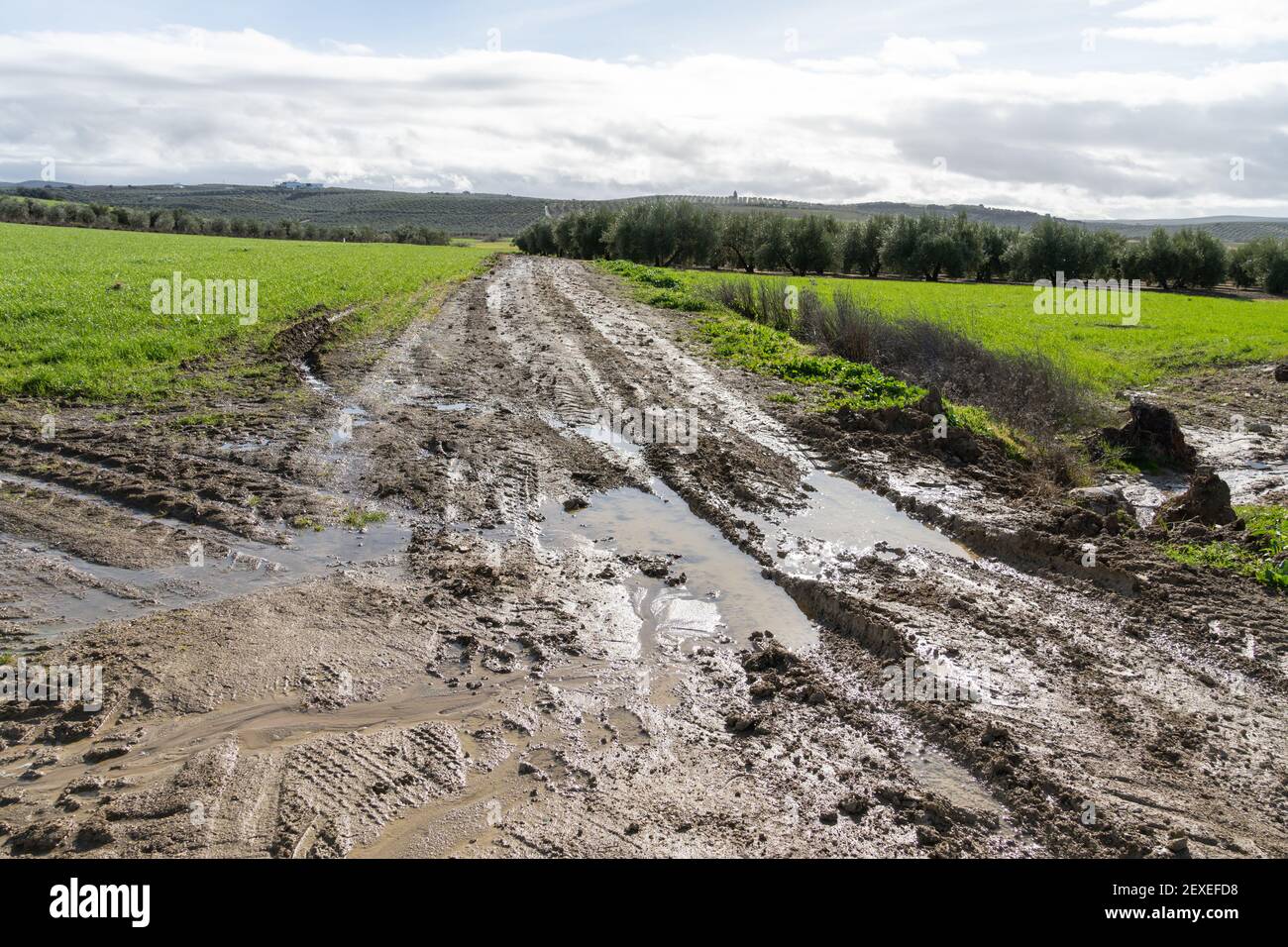 Stock photo of farmland with mud after rainy day Stock Photo - Alamy