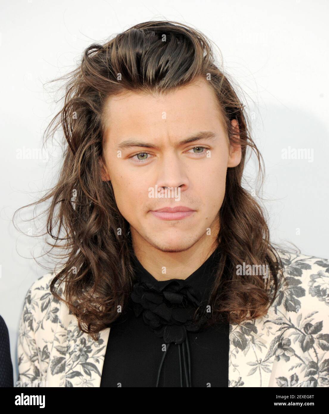 Harry Styles arrives to the 2015 American Music Awards, held at ...
