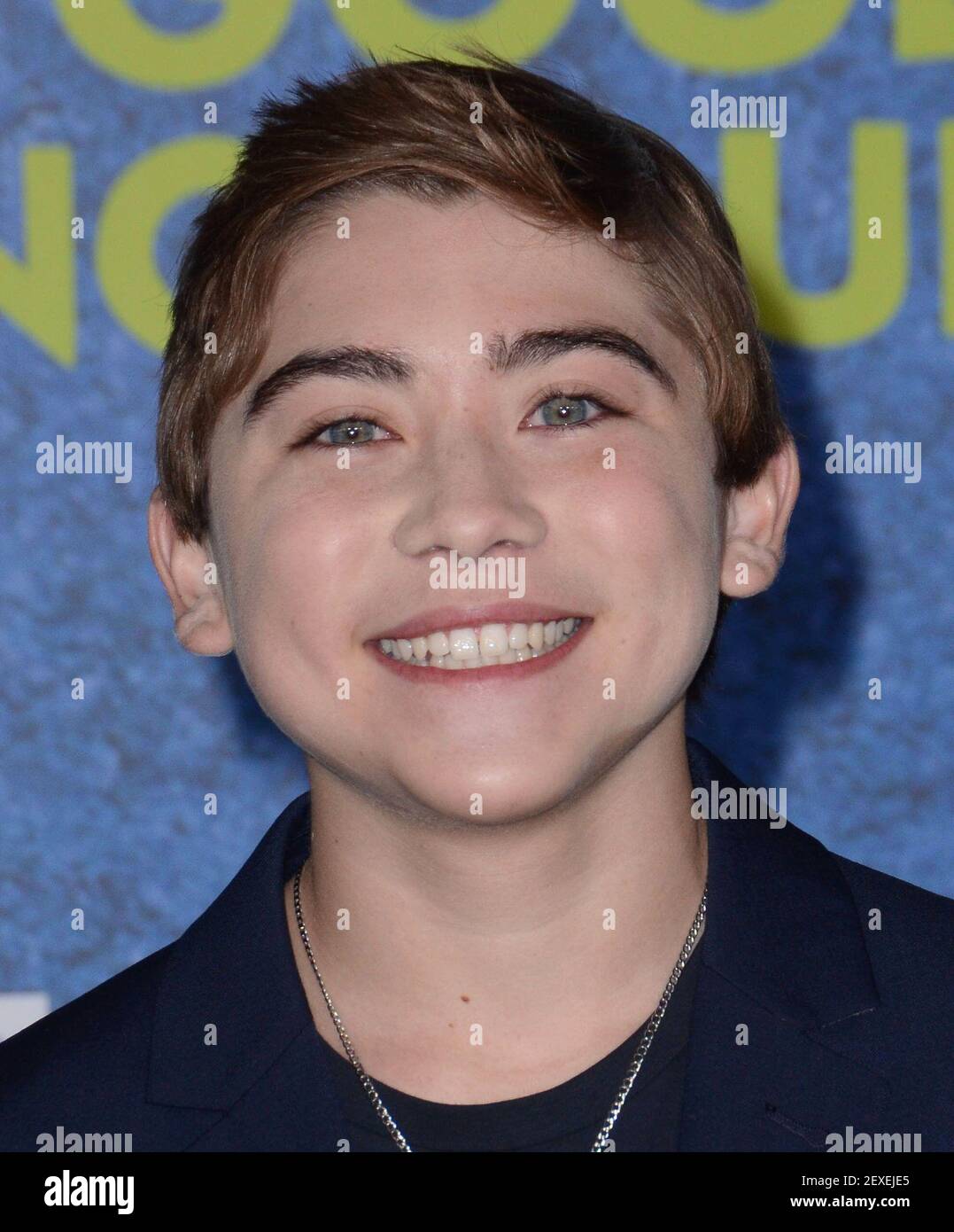 17 November - Hollywood, Ca - Raymond Ochoa. Arrivals for the Premiere ...