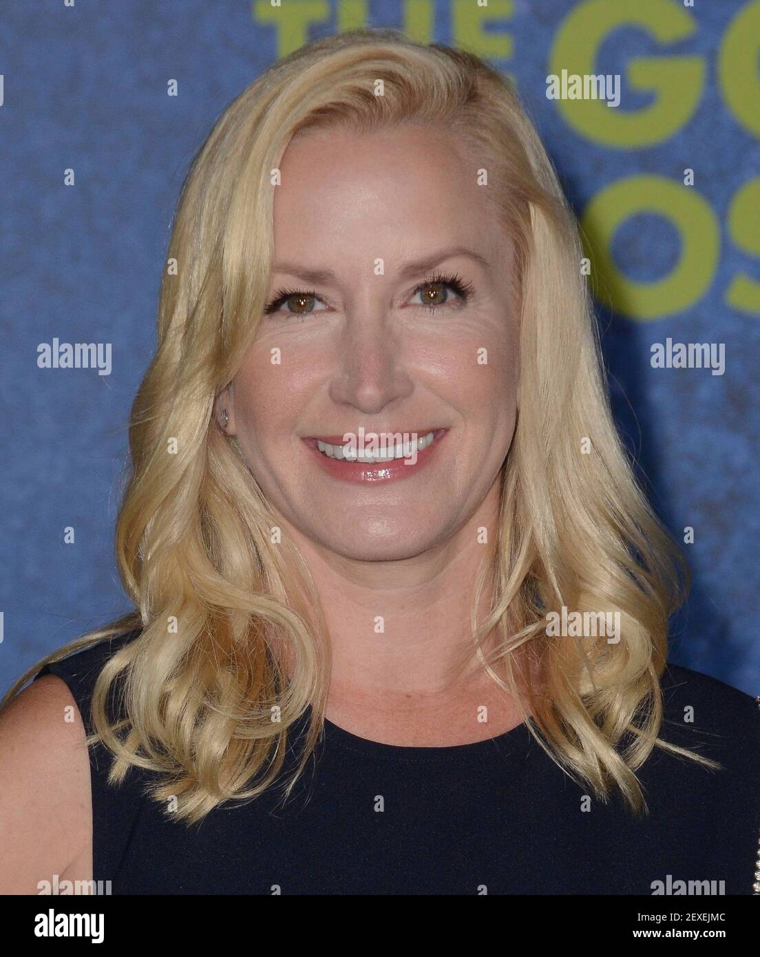 17 November - Hollywood, Ca - Angela Kinsey. Arrivals for the Premiere ...