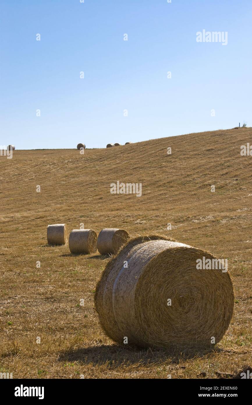 Hay Bale Scenery Stock Photo - Alamy