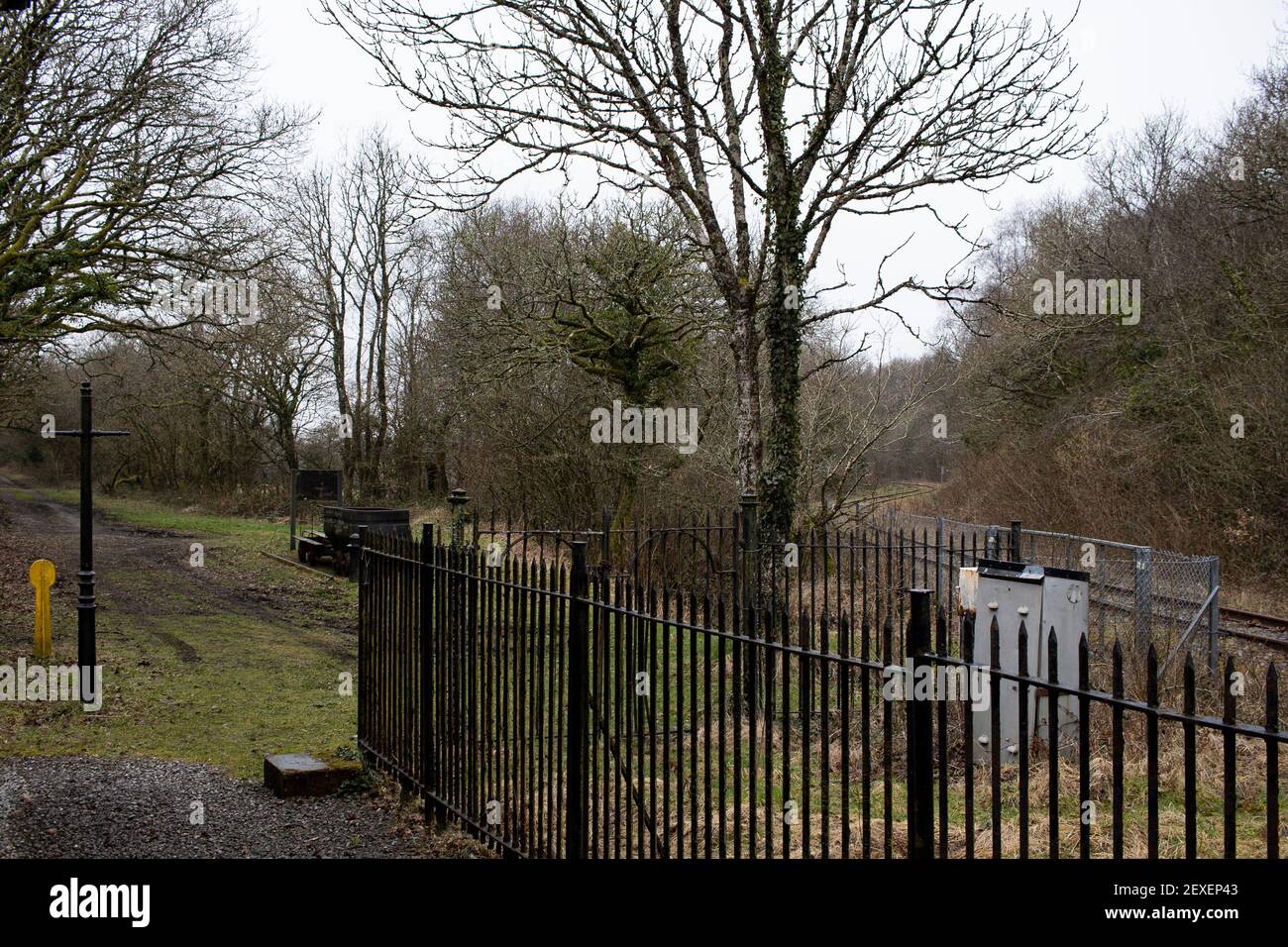 A view from Cefn Junction Signal Box towards Margam on the 4th March ...