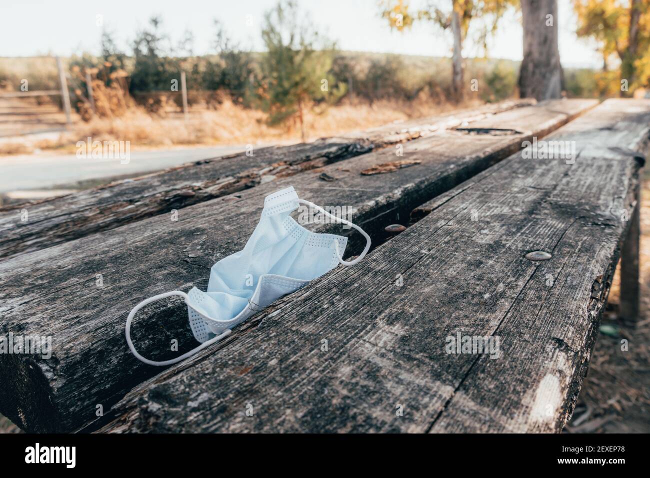 Stock photo of disposable face mask thrown left behind in the forest ...