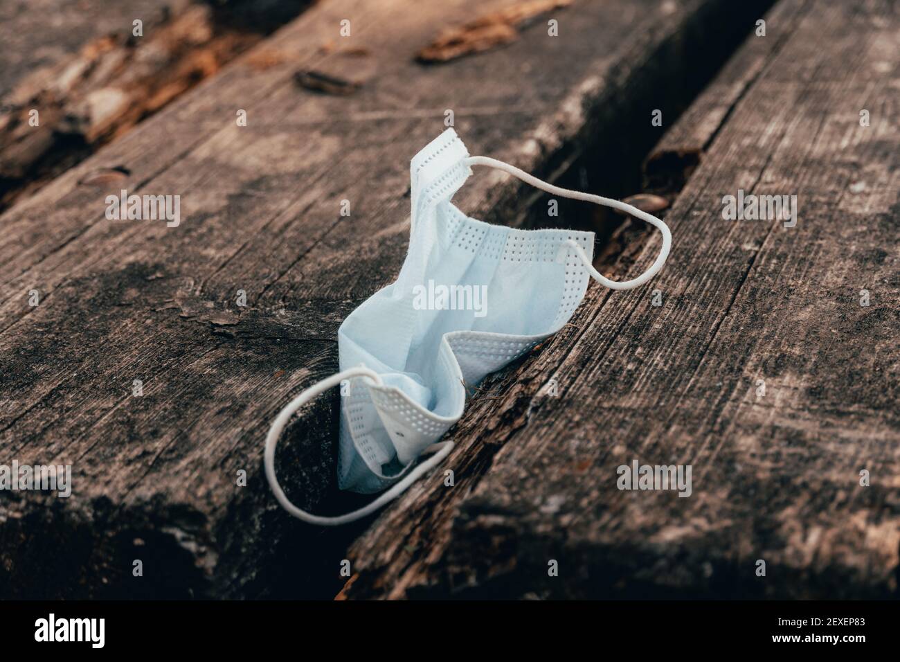 Stock photo of disposable face mask thrown left behind in the forest ...