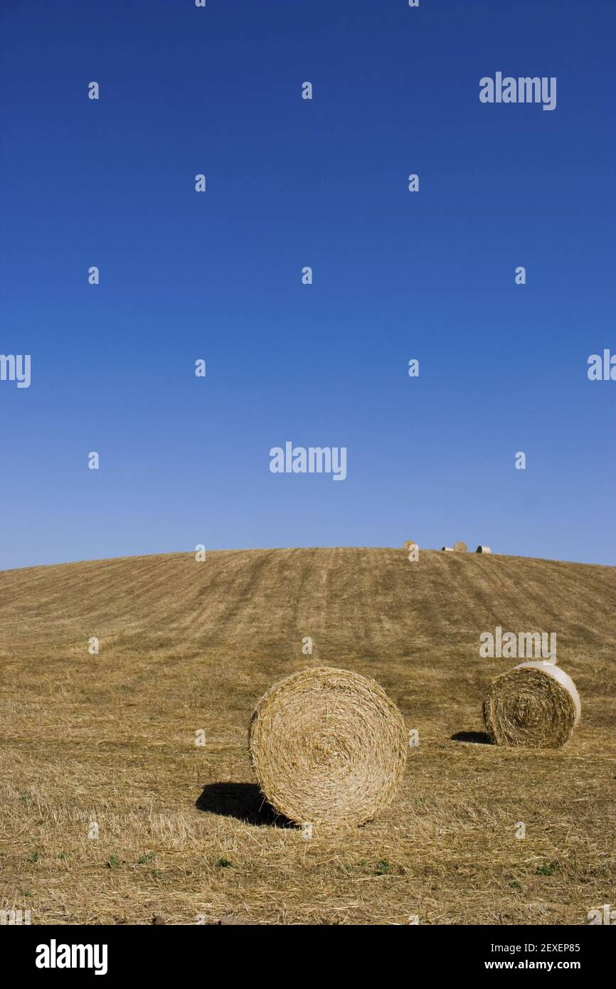 Hay Bale Scenery Stock Photo - Alamy