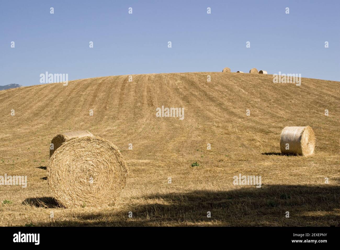 Hay Bale Scenery Stock Photo - Alamy