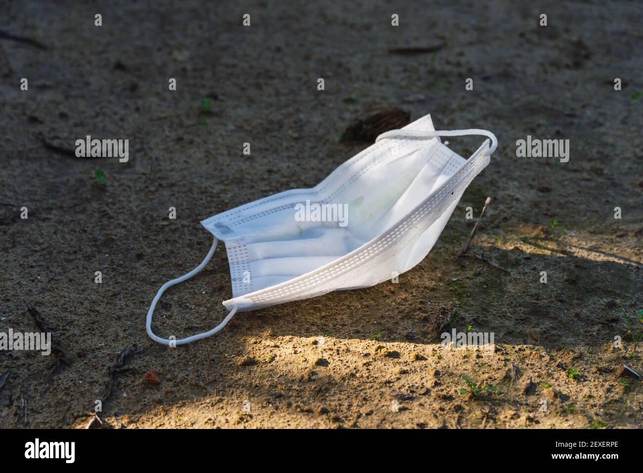 Stock photo of disposable face mask thrown in the forest. Pollution ...