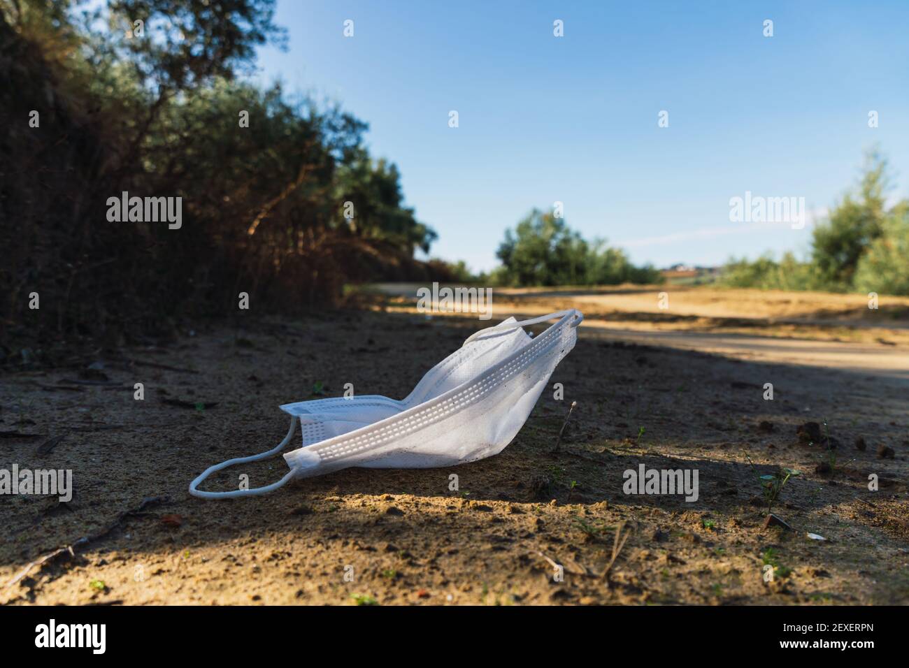 Stock photo of disposable face mask thrown in the forest. Pollution ...