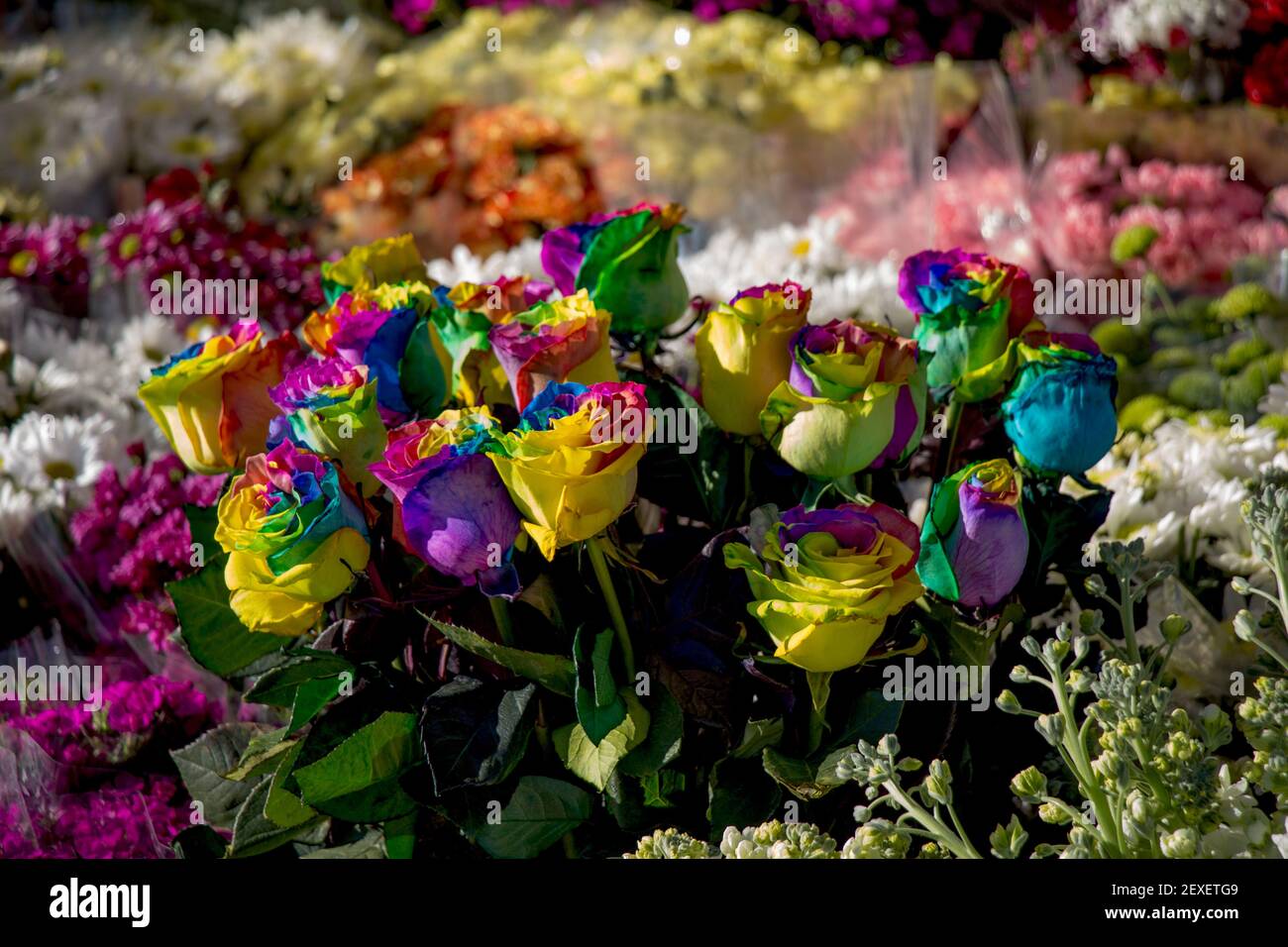 Beautiful fresh flowers as a nature background Stock Photo - Alamy