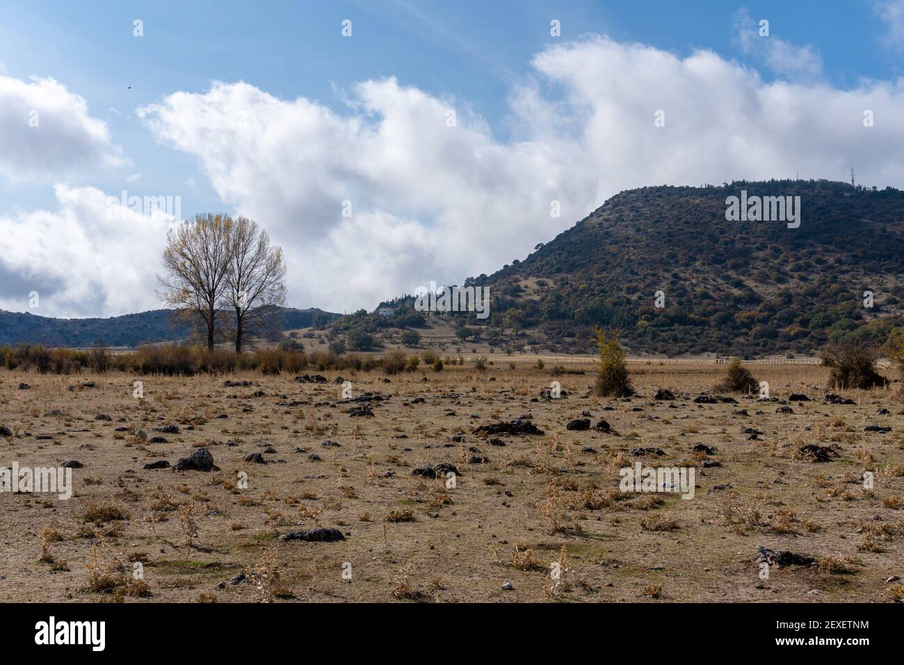 Stock photo of dry landscape with mountains in the background Stock ...