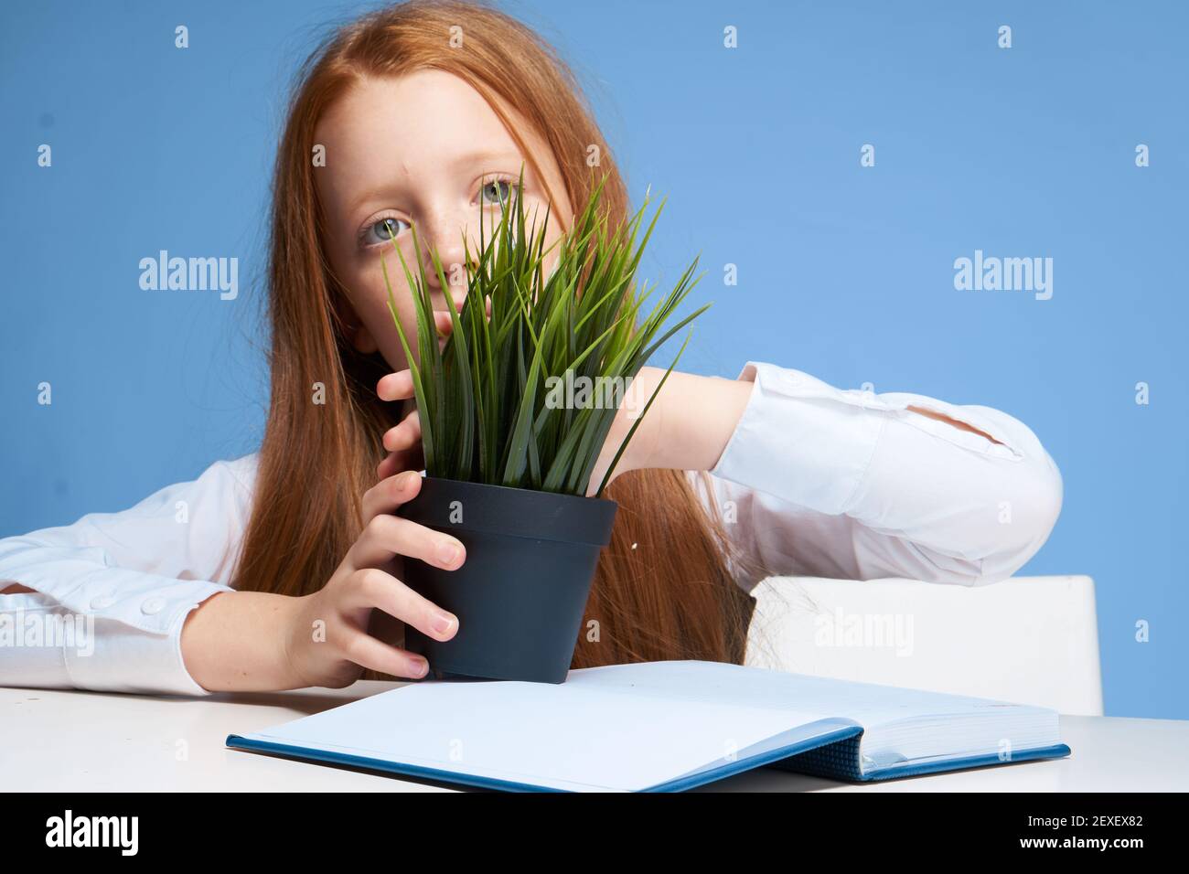student at school desk doing homework education childhood Stock Photo ...