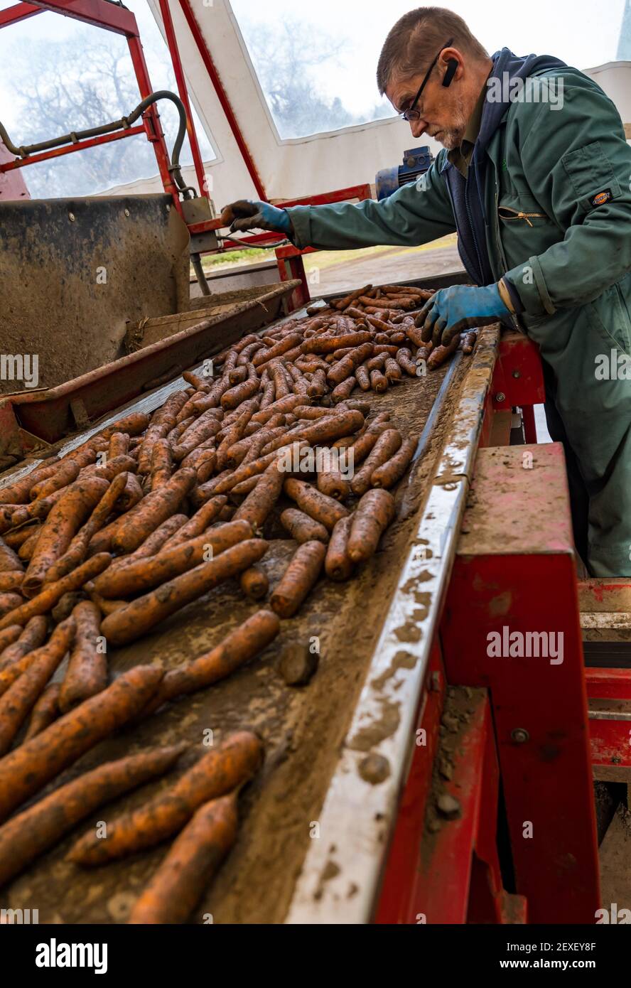 Discarding hi-res stock photography and images - Alamy