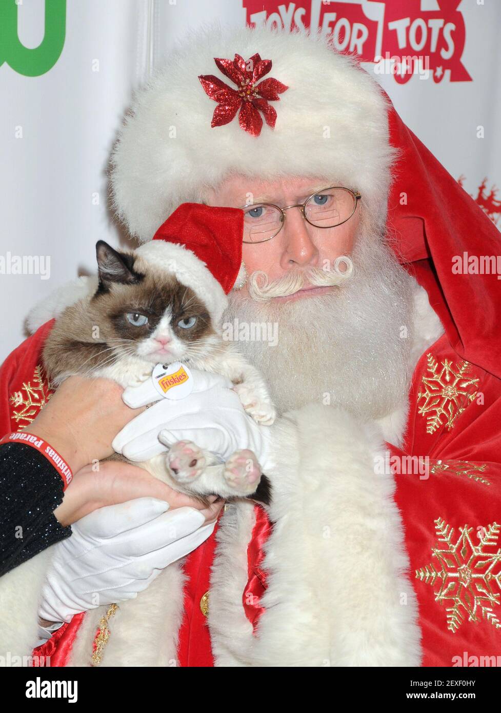 29 November 2015 - Hollywood, California - Grumpy Cat, Santa Clause ...