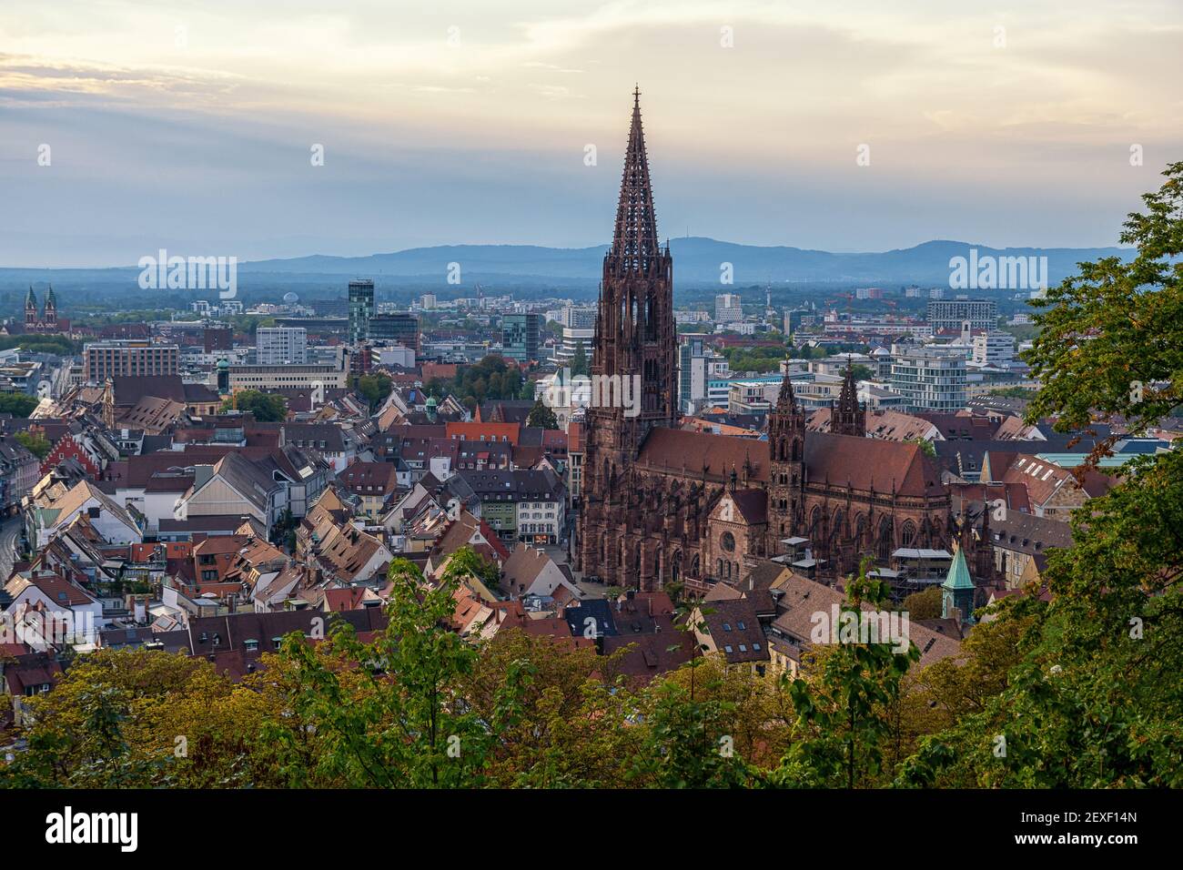 Breisgau high black forest hi-res stock photography and images - Alamy
