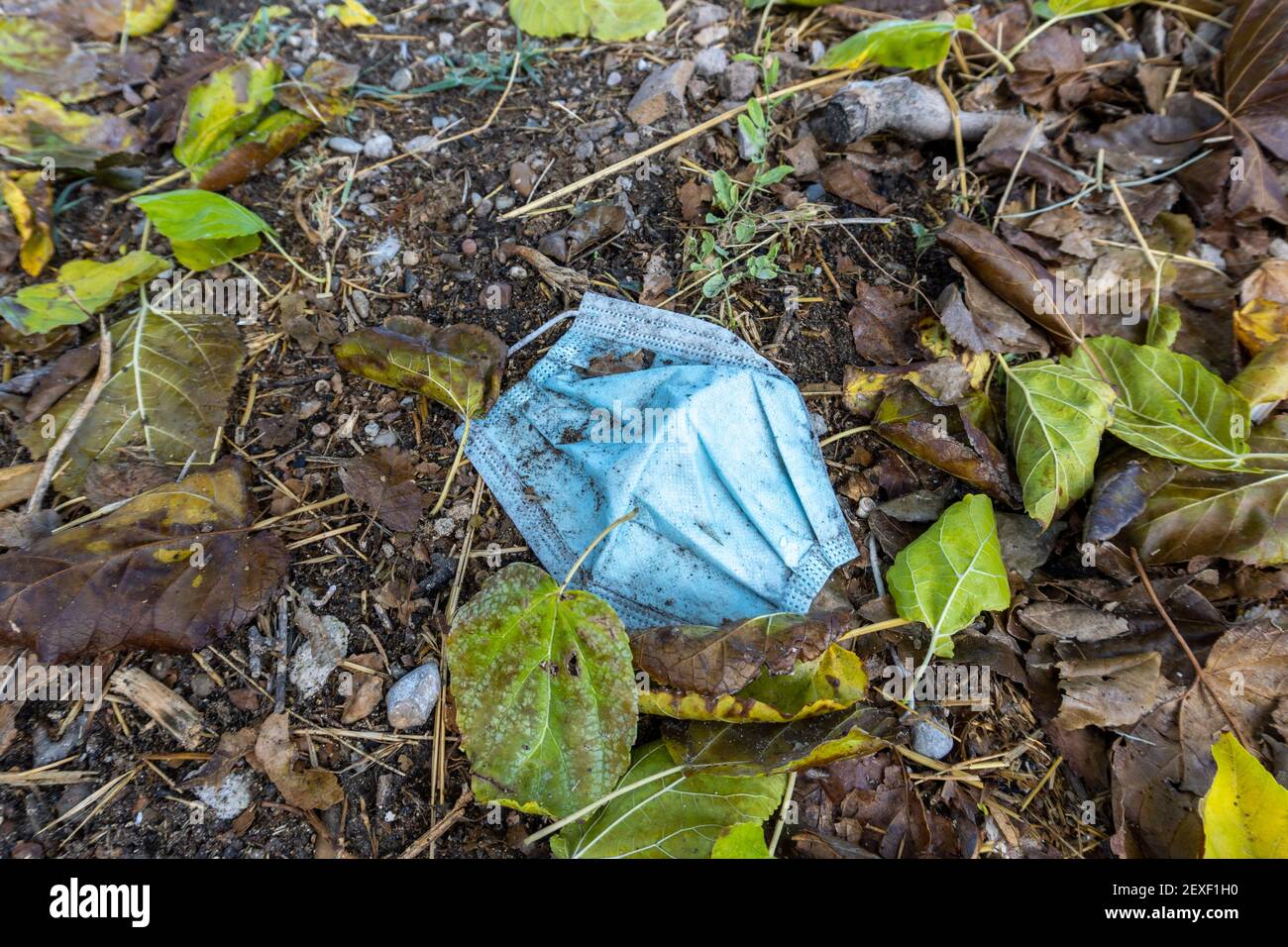 Stock photo of disposable face mask thrown in the floor. Pollution ...