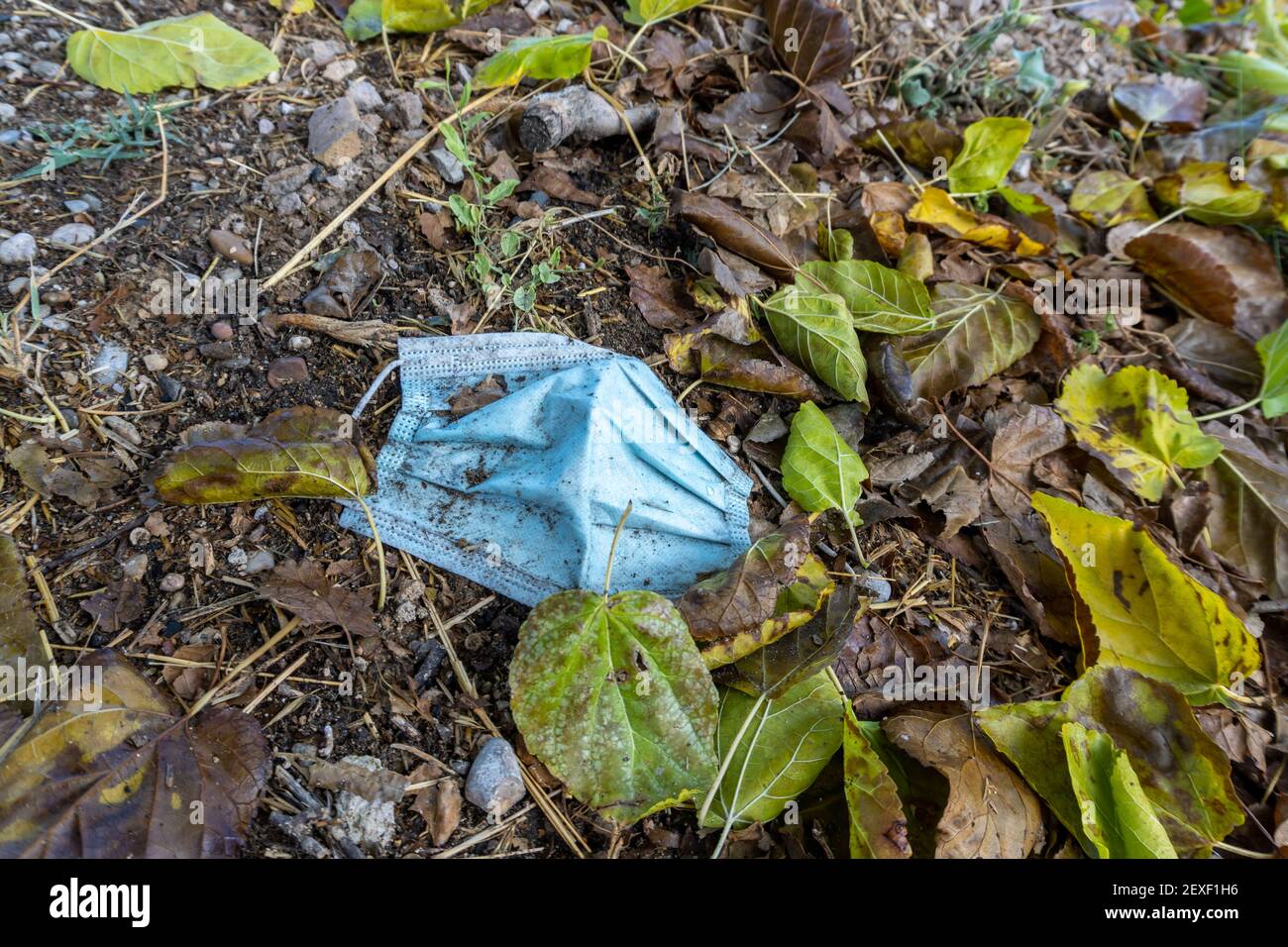 Stock photo of disposable face mask thrown in the floor. Pollution ...