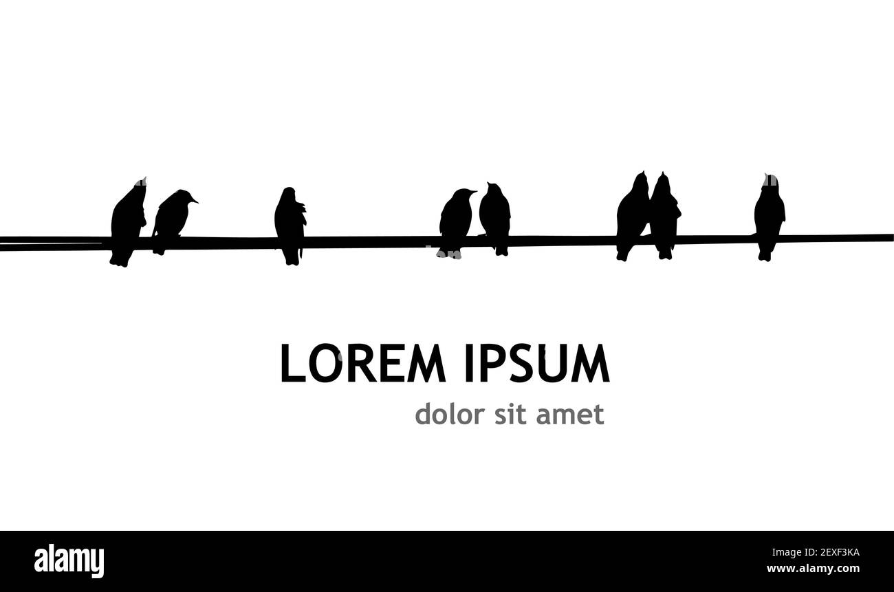Birds on wires. Vector illustration Stock Vector Image & Art - Alamy