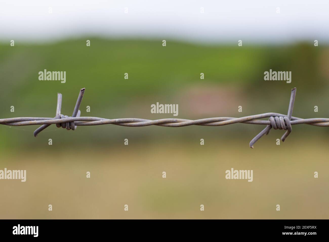 Barbed wire silhouette illustration hi-res stock photography and images ...