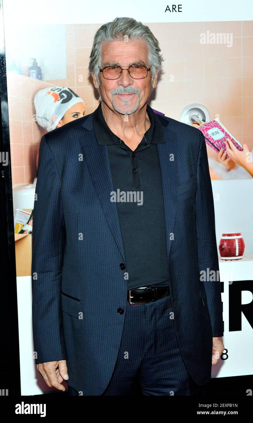 Actor James Brolin attends the world premiere of "Sisters" at the ...