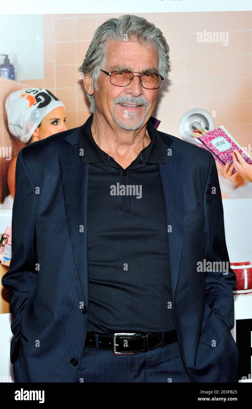 Actor James Brolin attends the world premiere of "Sisters" at the ...
