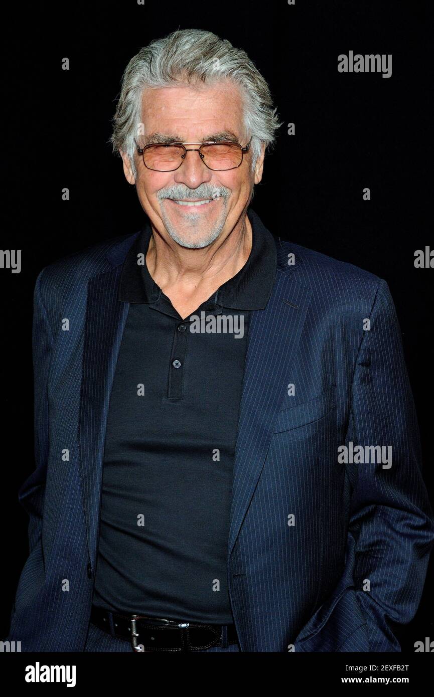 Actor James Brolin attends the world premiere of "Sisters" at the ...