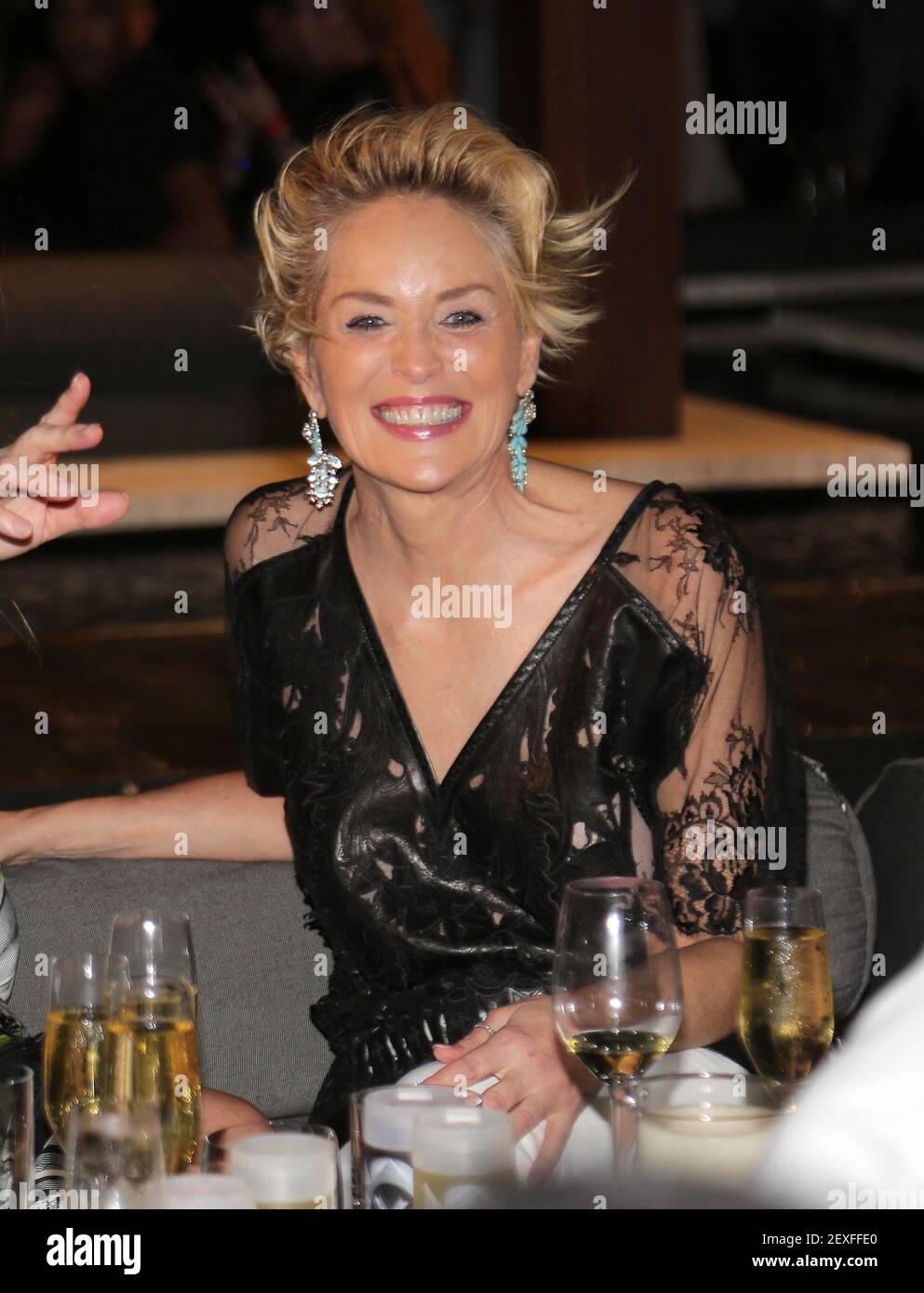MIAMI BEACH, FLORIDA. NOVEMBER 6: Sharon Stone attends FUNKSHION ...