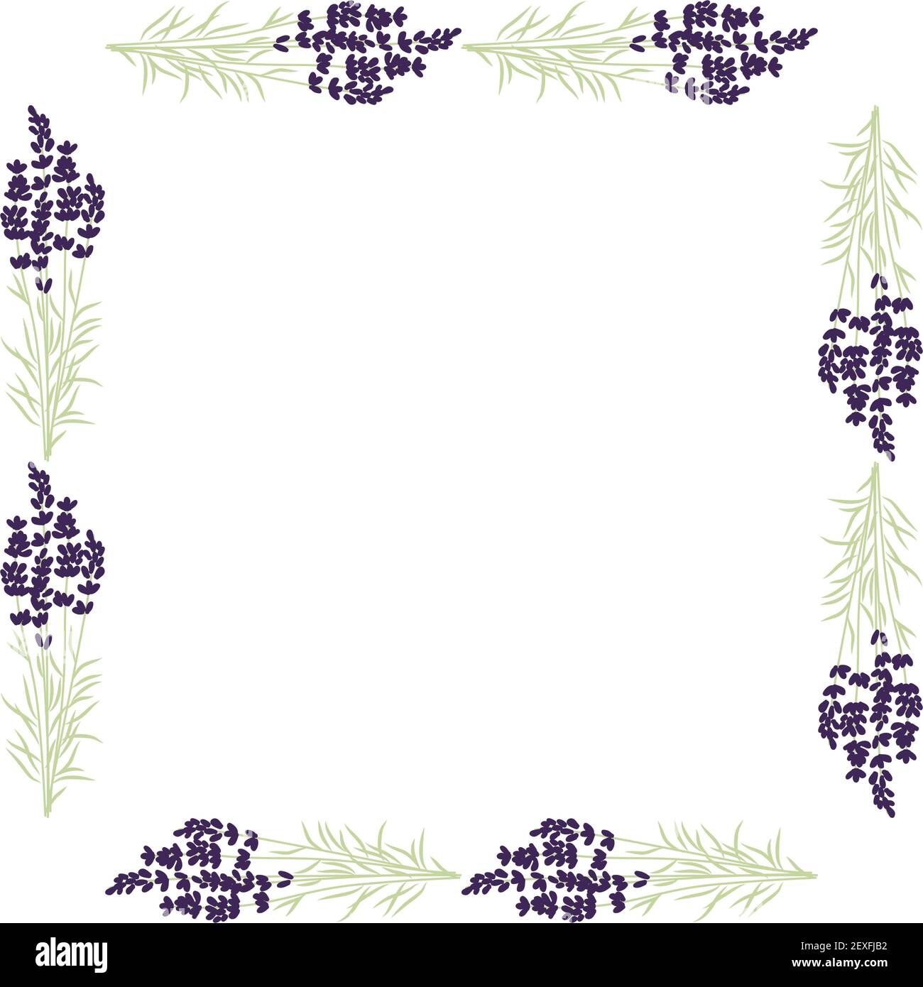 lavender flower frame, vector Stock Vector Image & Art - Alamy