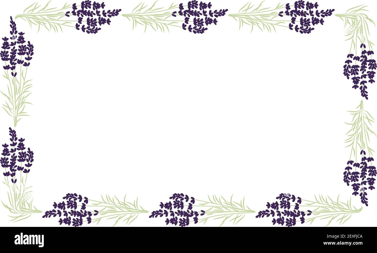 lavender flower frame, vector Stock Vector Image & Art - Alamy