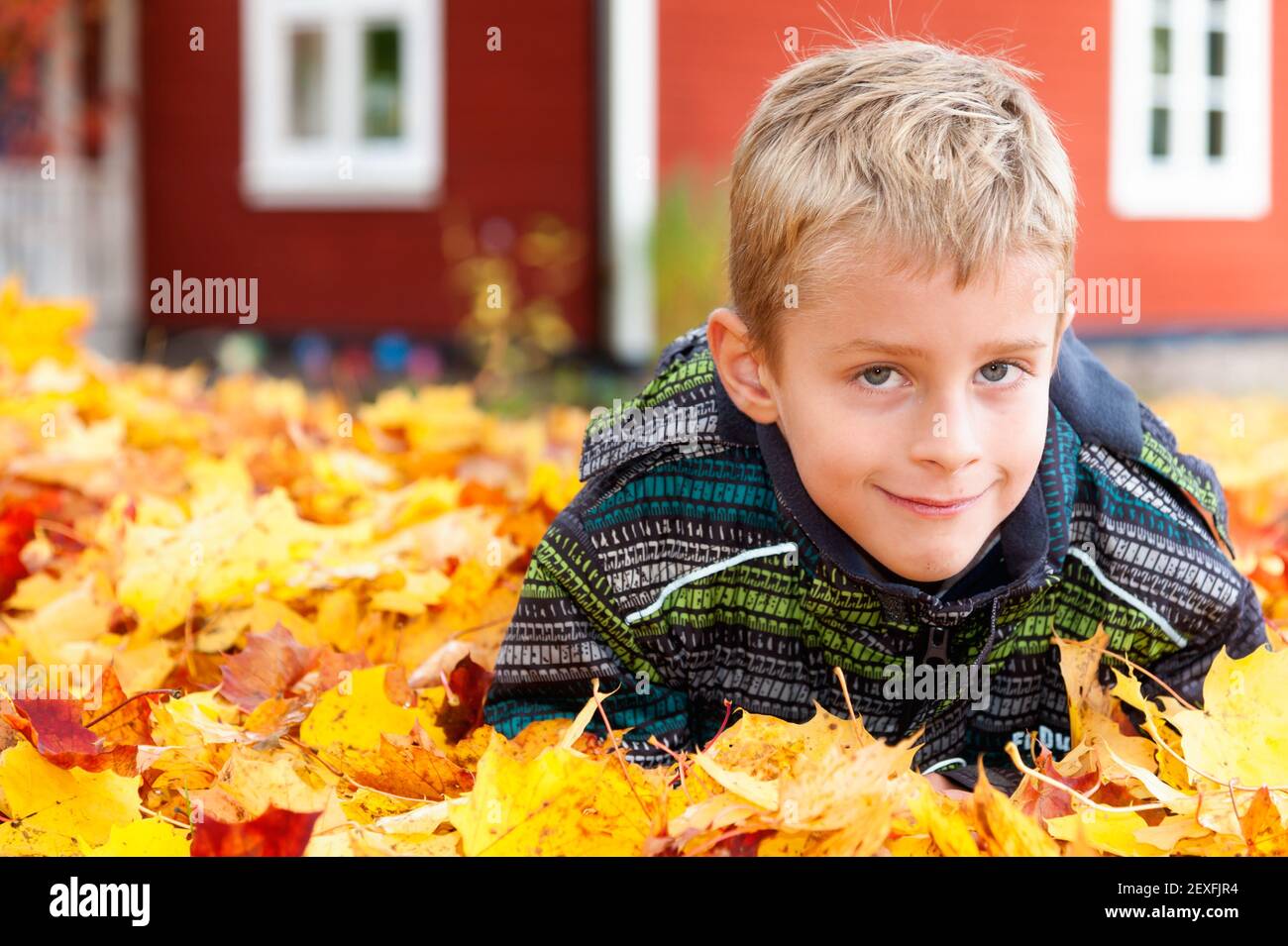 Cute young boy playing in autumn leaves Stock Photo - Alamy