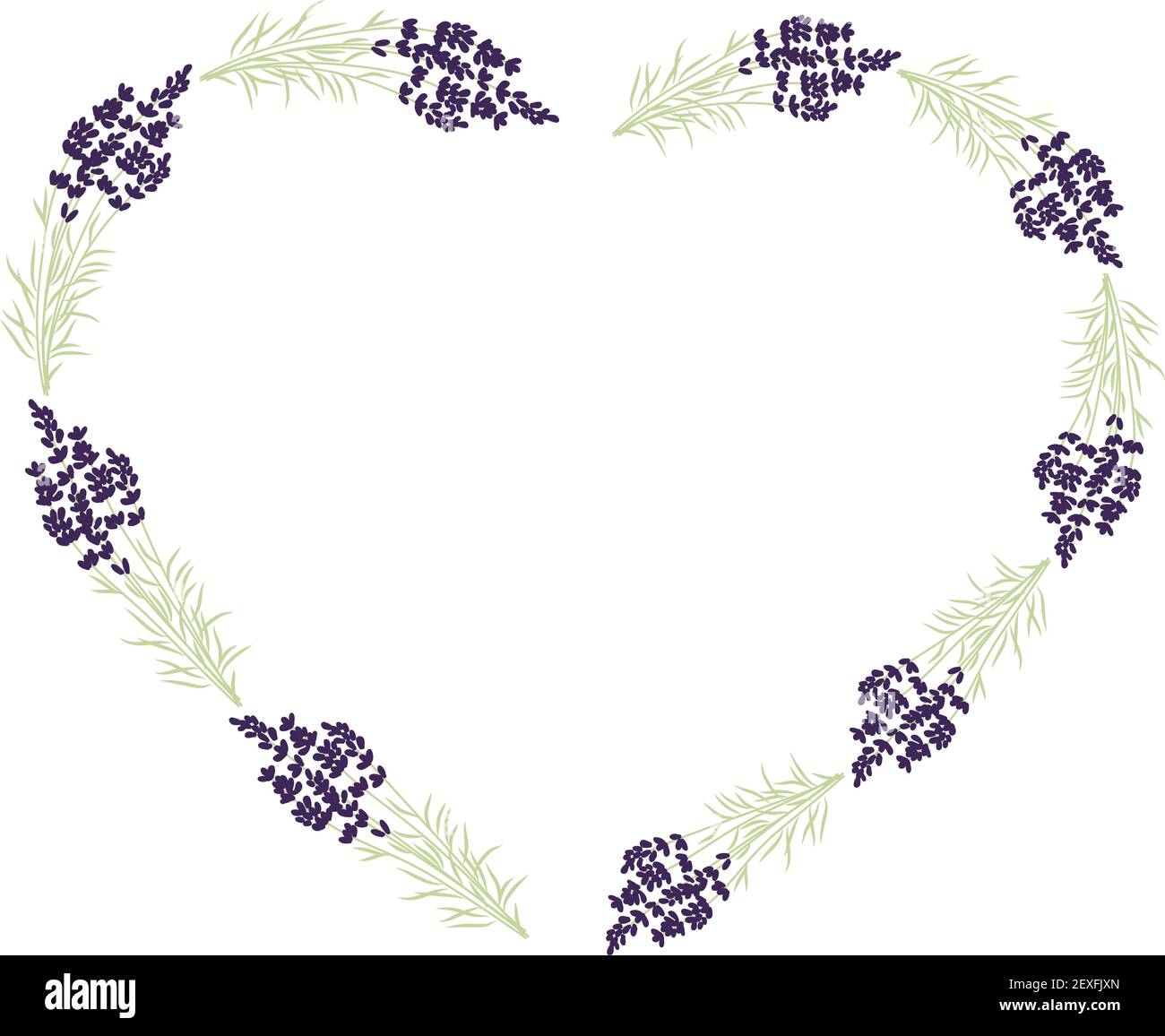 lavender flower frame, vector Stock Vector Image & Art - Alamy