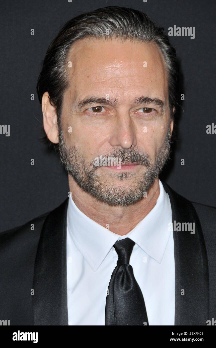 Craig Stark arrives at the "The Hateful Eight" Los Angeles Premiere held at the ArcLight Cinemas ...