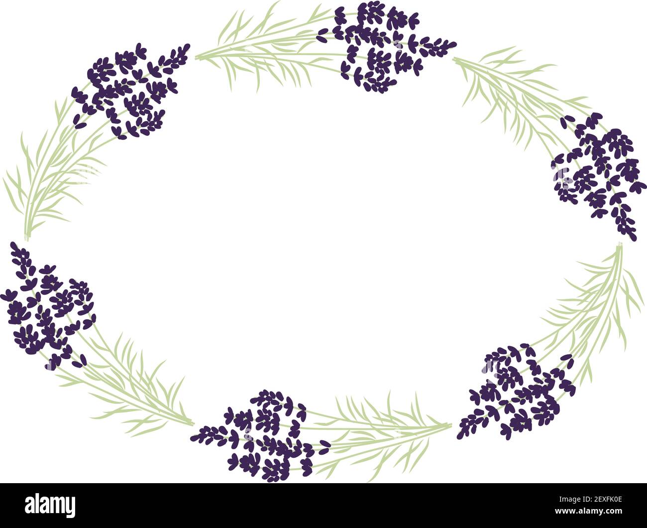 lavender flower frame, vector Stock Vector Image & Art - Alamy