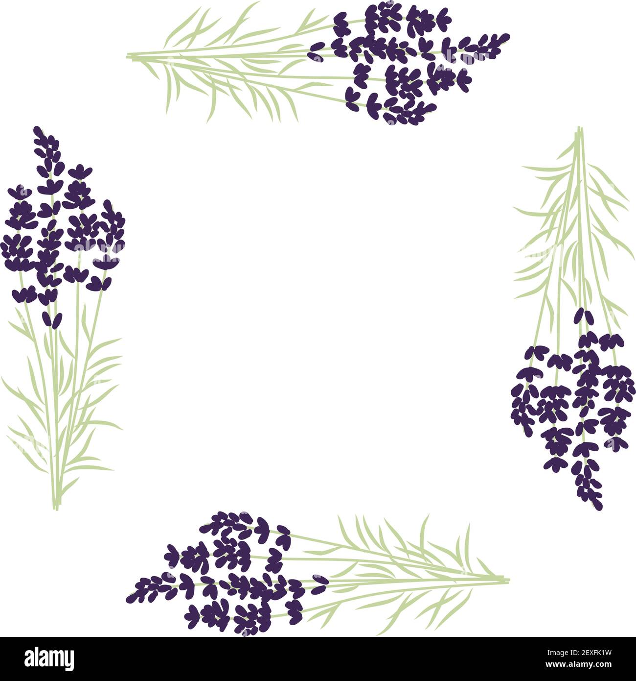 lavender flower frame, vector Stock Vector Image & Art - Alamy