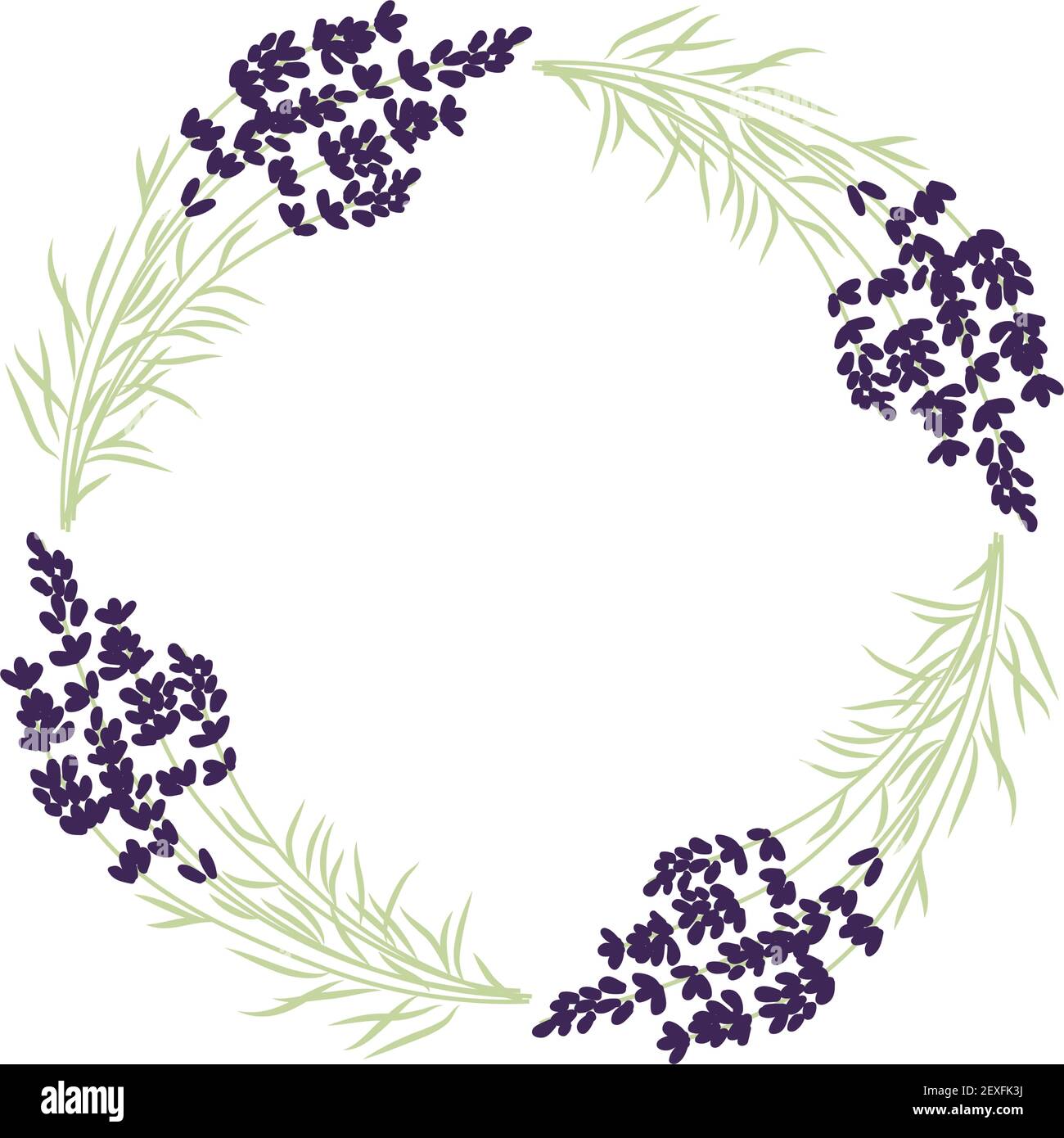 lavender flower frame, vector Stock Vector Image & Art - Alamy