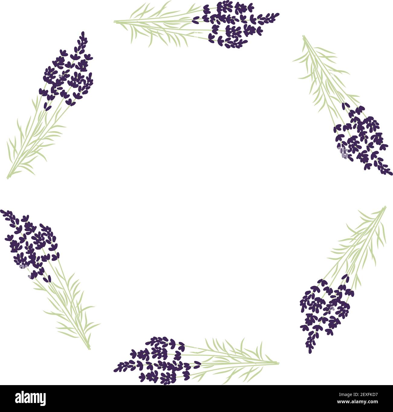 lavender flower frame, vector Stock Vector Image & Art - Alamy