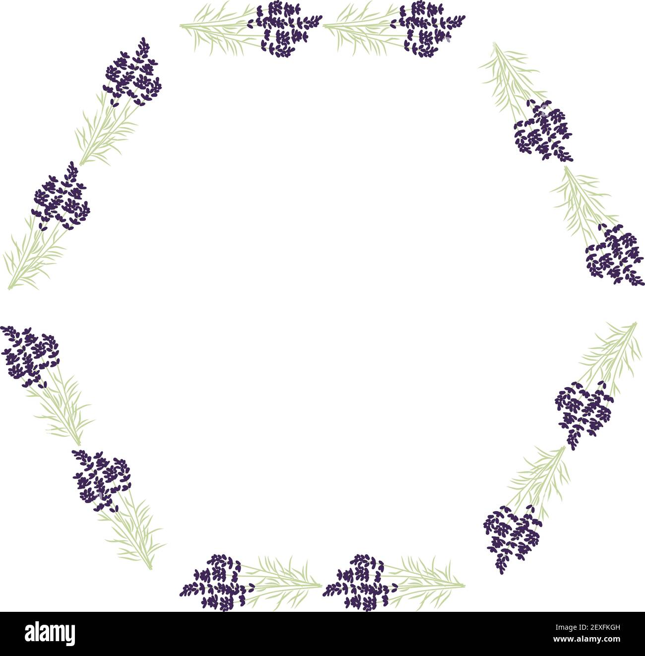 lavender flower frame, vector Stock Vector Image & Art - Alamy