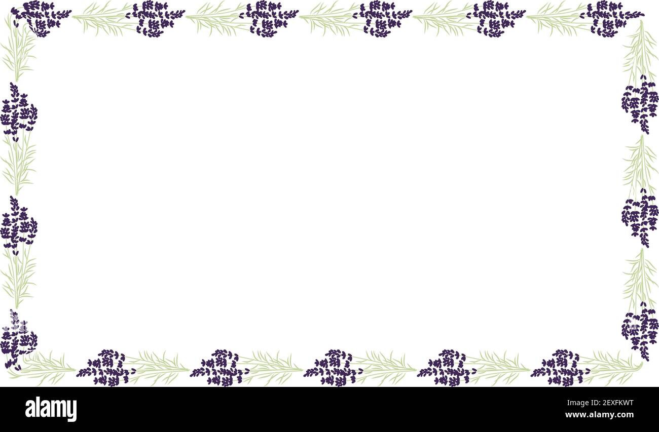 lavender flower frame, vector Stock Vector Image & Art - Alamy