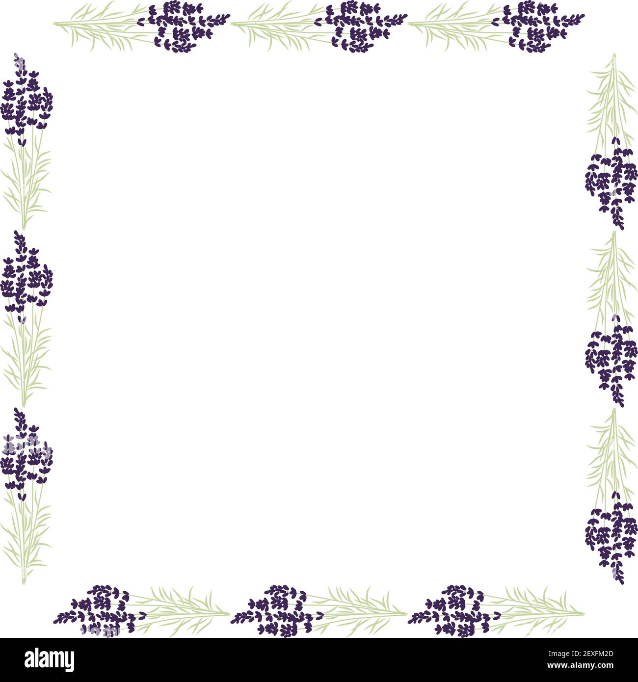 lavender flower frame, vector Stock Vector Image & Art - Alamy