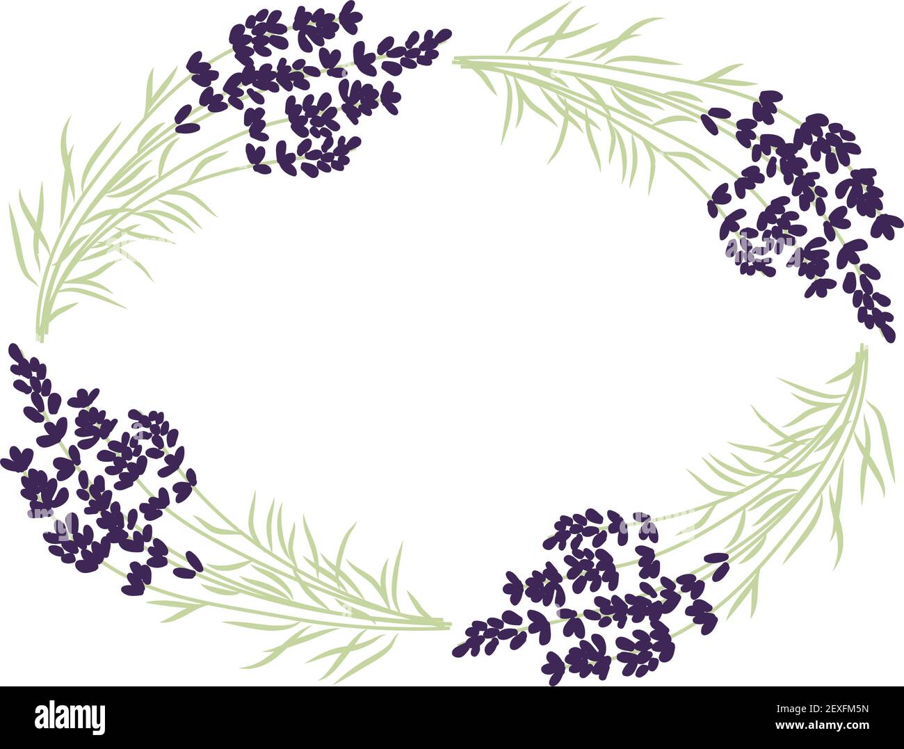 lavender flower frame, vector Stock Vector Image & Art - Alamy