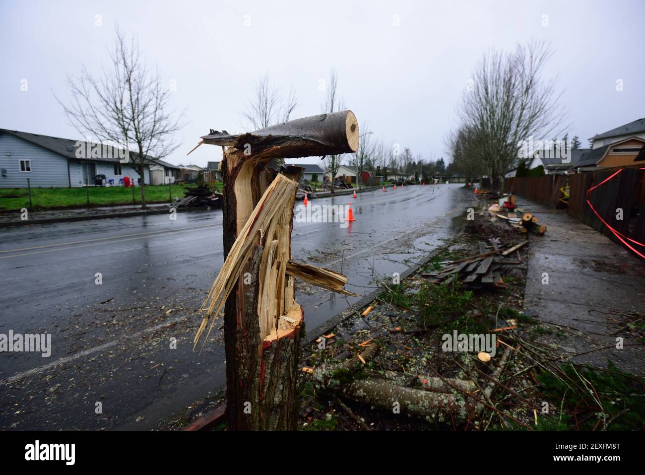 A scene in southeast Battle Ground, Wash., on December 11, 2015, the ...