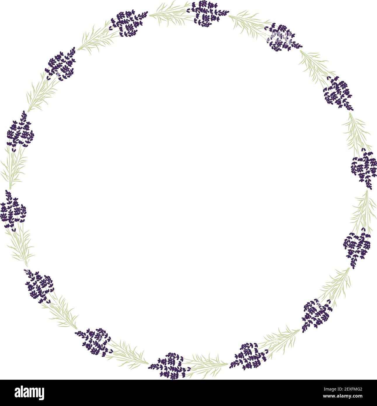lavender flower frame, vector Stock Vector Image & Art - Alamy