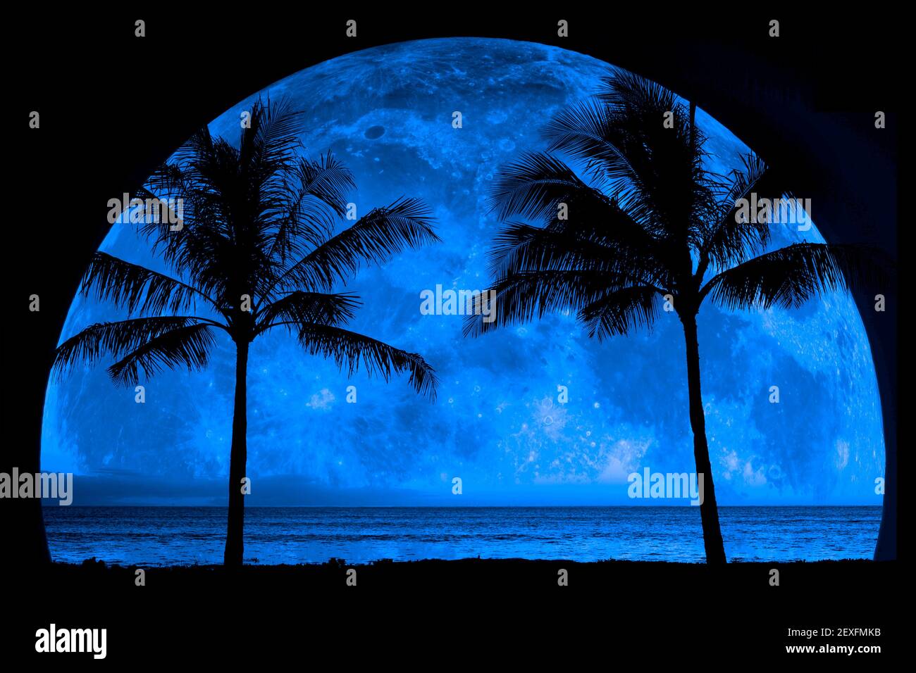 Tropical Palm Trees silhouette silhouetted by full moon midnight night ...