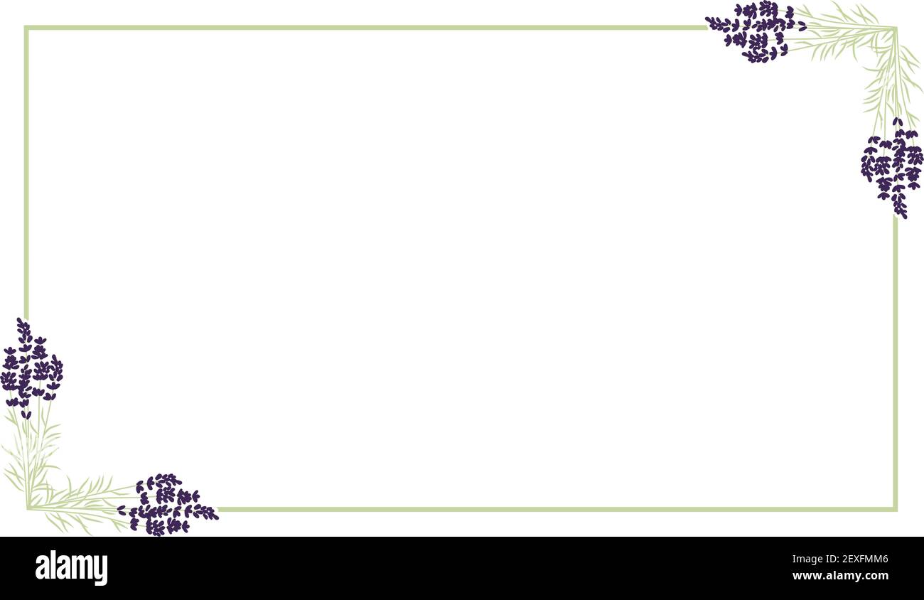 lavender flower frame, vector Stock Vector Image & Art - Alamy