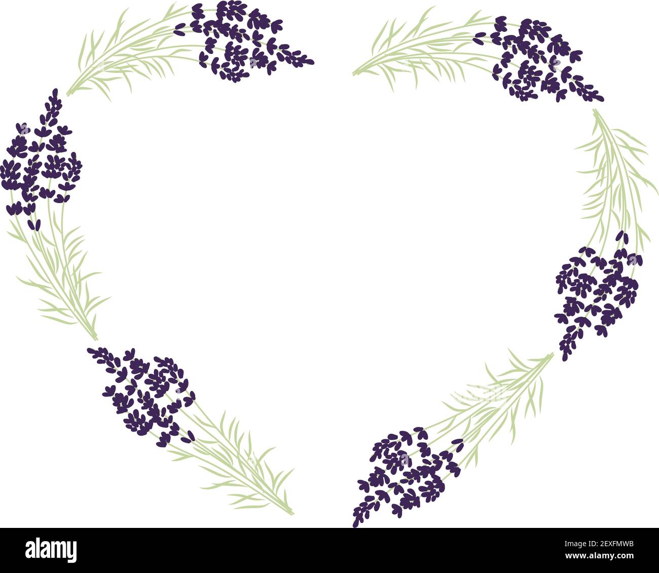 lavender flower frame, vector Stock Vector Image & Art - Alamy