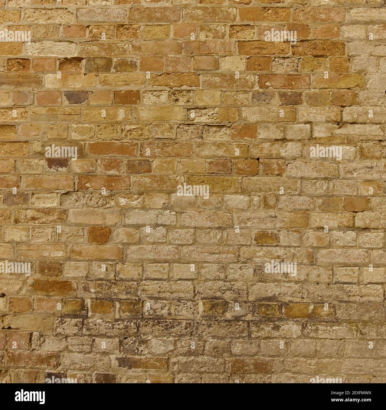 Cemented brick texture hi-res stock photography and images - Alamy